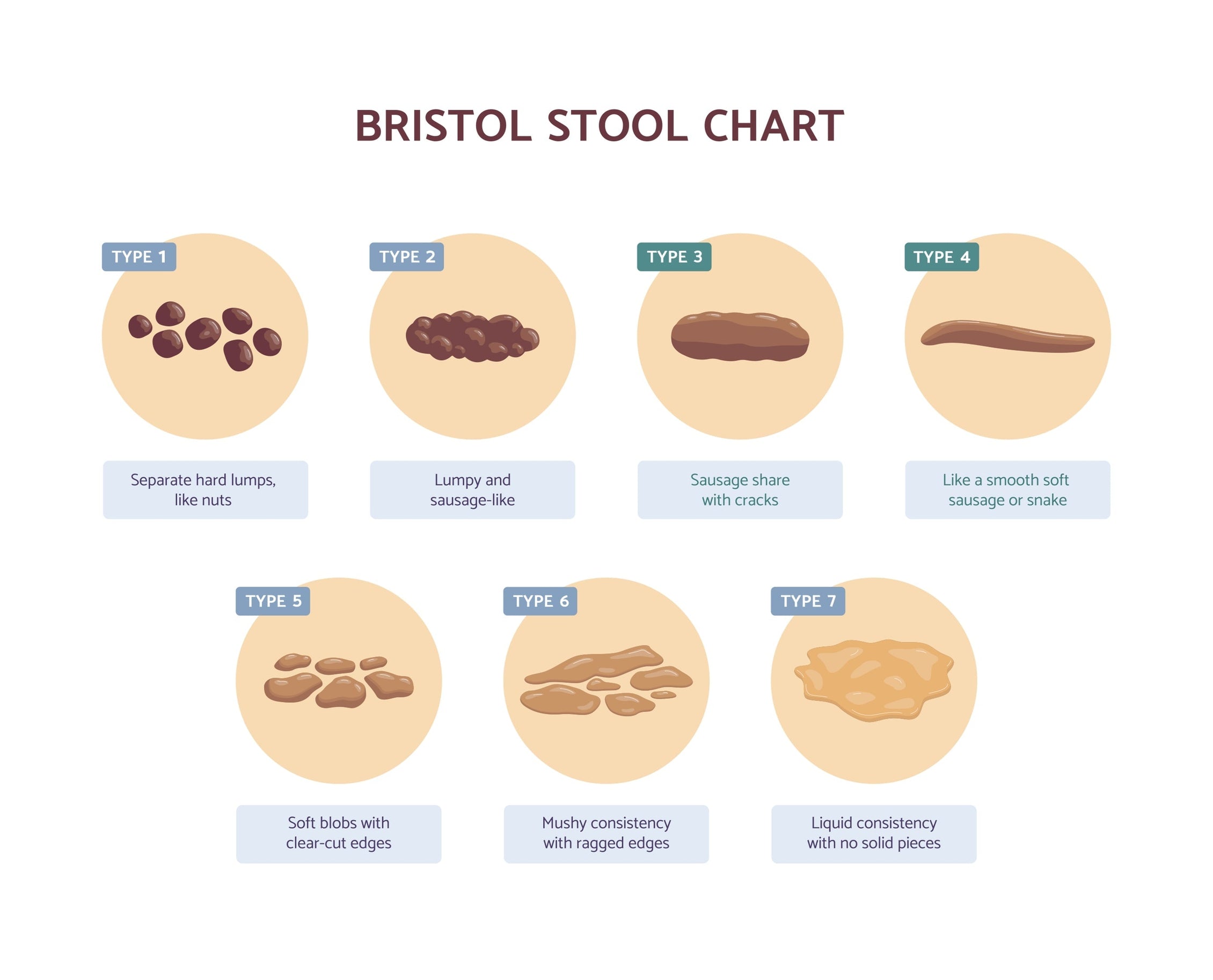 Bristol Stool Chart Breakdown – Fifth Ray